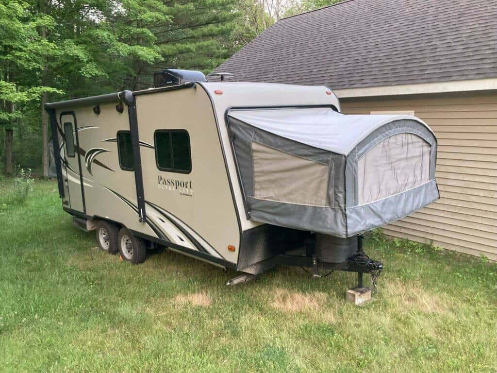 Your New Best Friend Awaits: Puppies for Sale